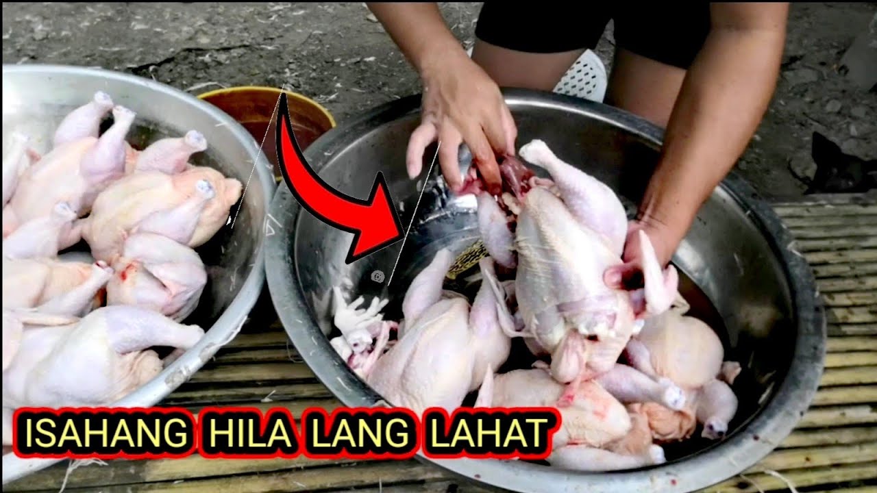 Paano mag tangal ng lamang loob ng broiler chicken | Ganito lang kadali ...