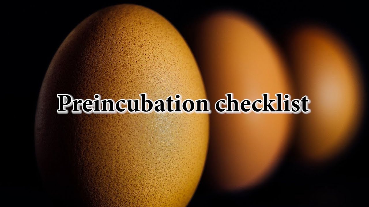 Preincubation checklist - Egg incubator hatching - Incubating chicken ...