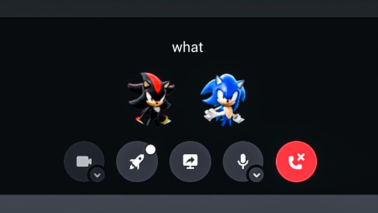 An Average Sonic and Shadow Discord Call - YouTube