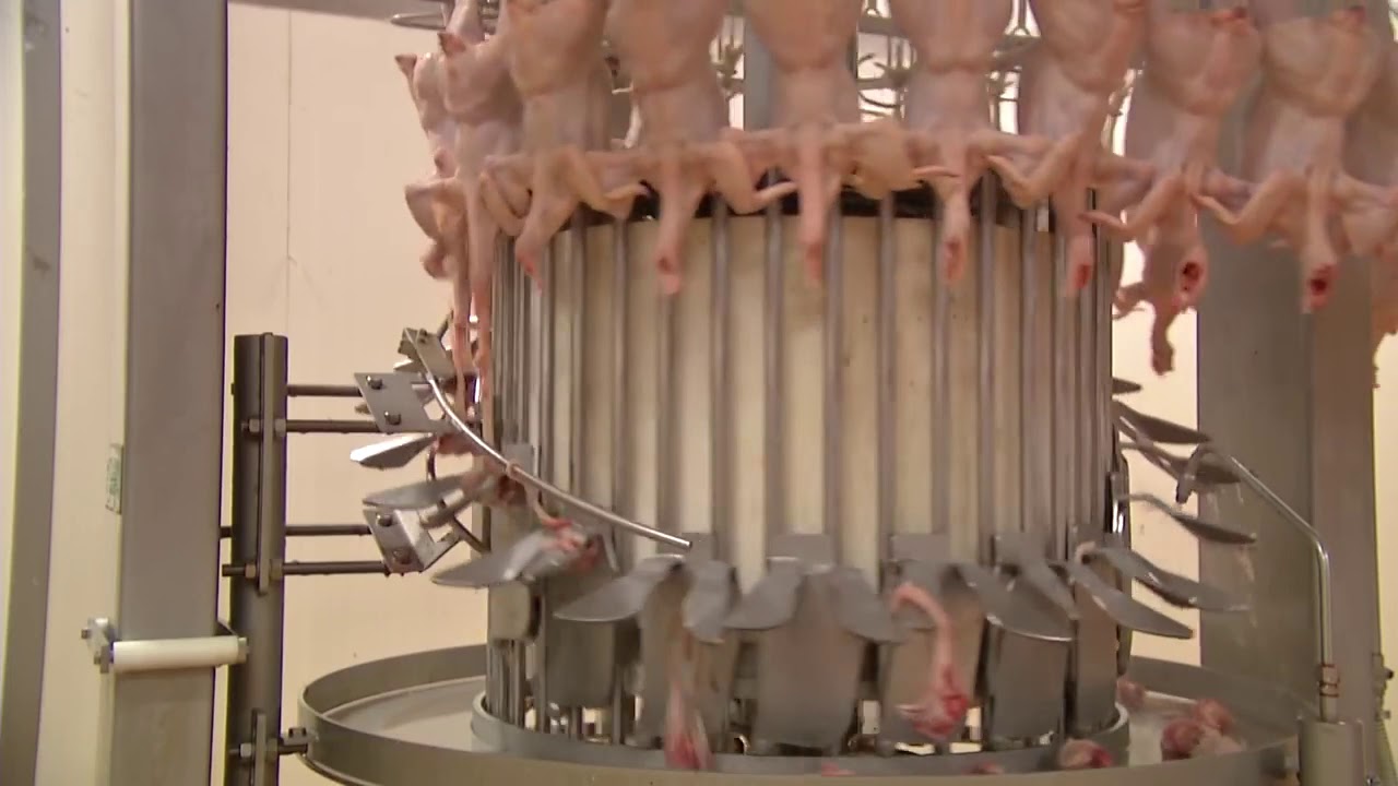 Meyn Head pullers - YouTube