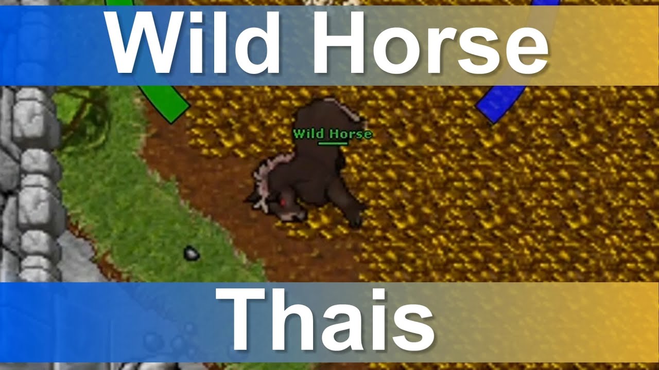 Tibia - Wild Horse - Mount - Thais - YouTube
