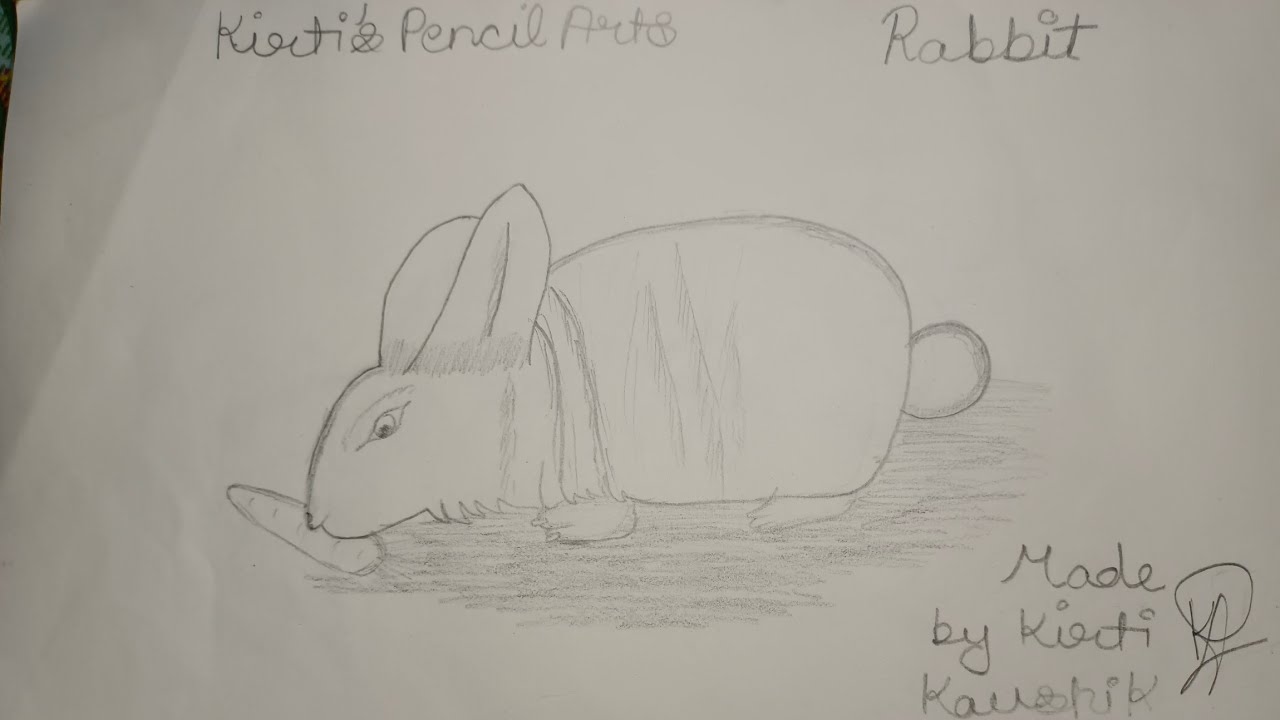 How to draw a beautiful Rabbit 🐰 | @Arts for Kids Hub | #arts #drawing ...