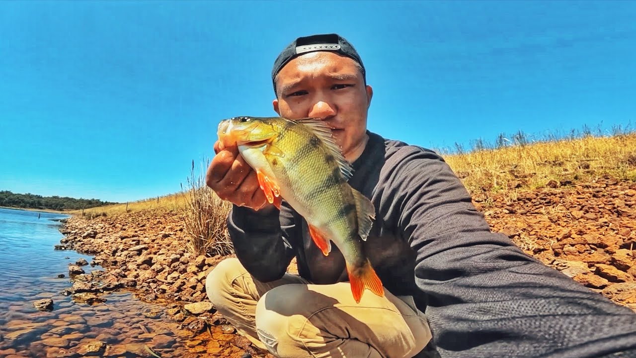 STONY CREEK RESERVOIR: THIS LURE IS THE BEST FOR SCOUTING NEW AREAS ...