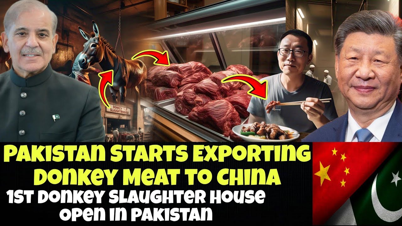 Pakistan to Export Donkey Meat to China | 1st Donkey Production House ...