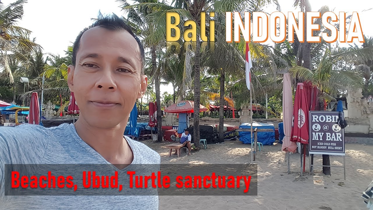 Epic Bali Road Trip: Discover Bias Tugel Beach, Ubud & Serangan Turtle ...