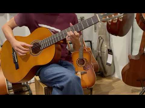Valencia Classical Guitar 4/4 Size  VC204
