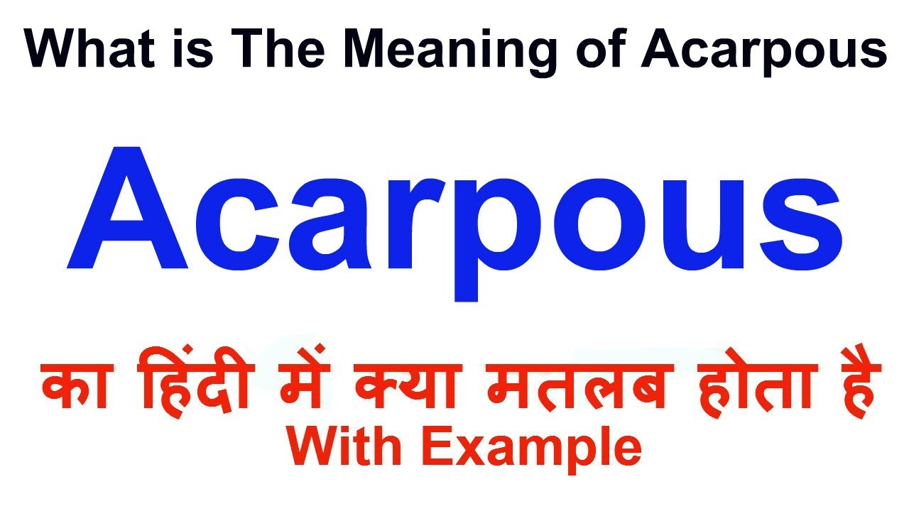 Acarpous Meaning in Hindi | Acarpous Definition | Acarpous Ka Matlab ...
