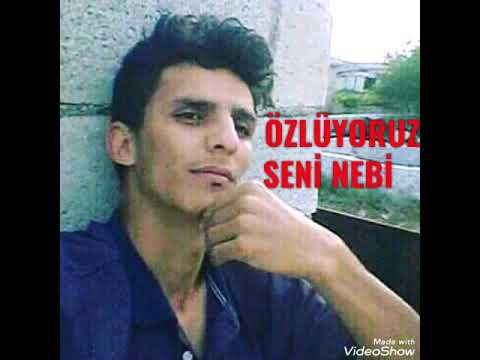 Seydi Demir Özlüyoruz Seni Nebi