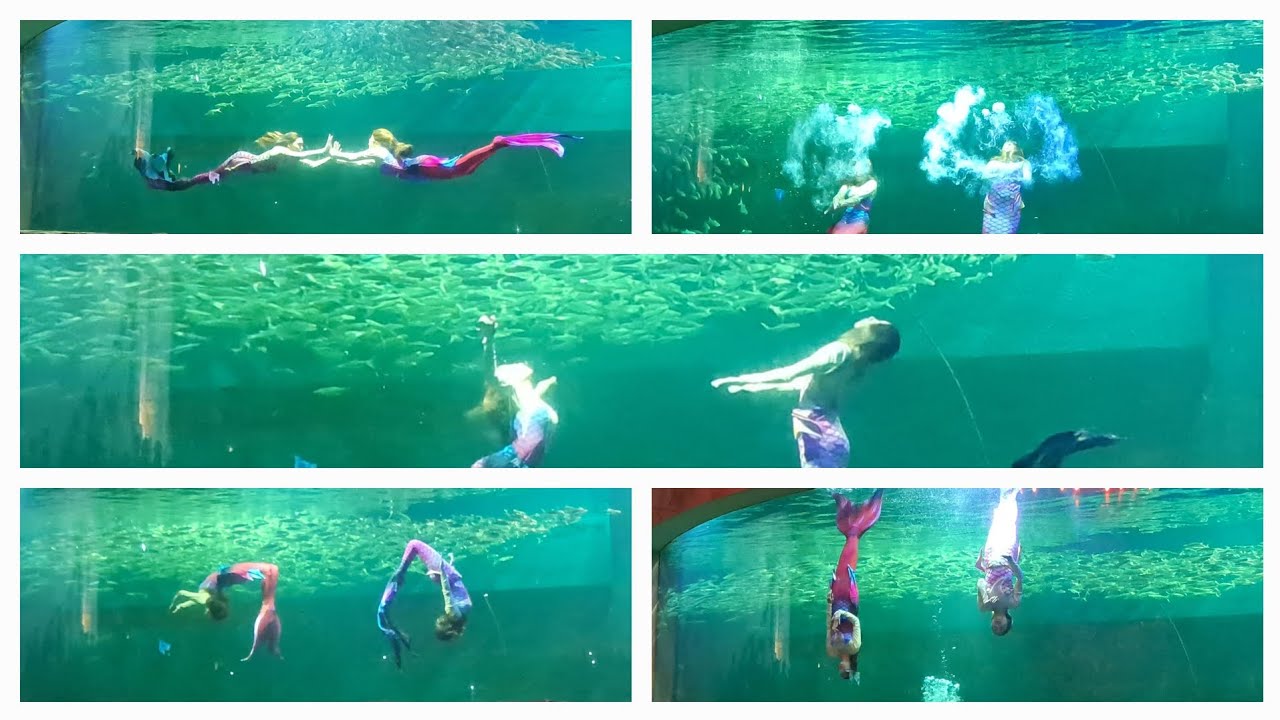 Mermaid Show Let's watching it - YouTube