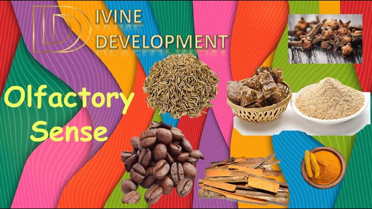 Olfactory Sense, Smell sense SI , Calming smell to soothe or relax ...