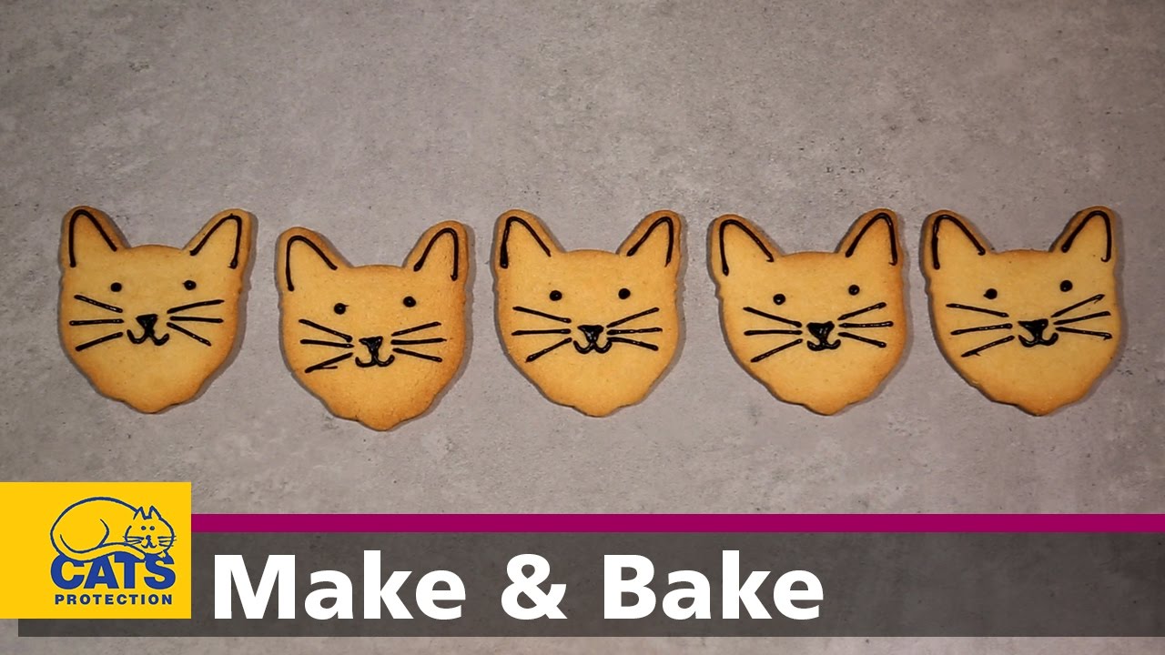 Cat face biscuits – Kitty Bakes episode two - YouTube