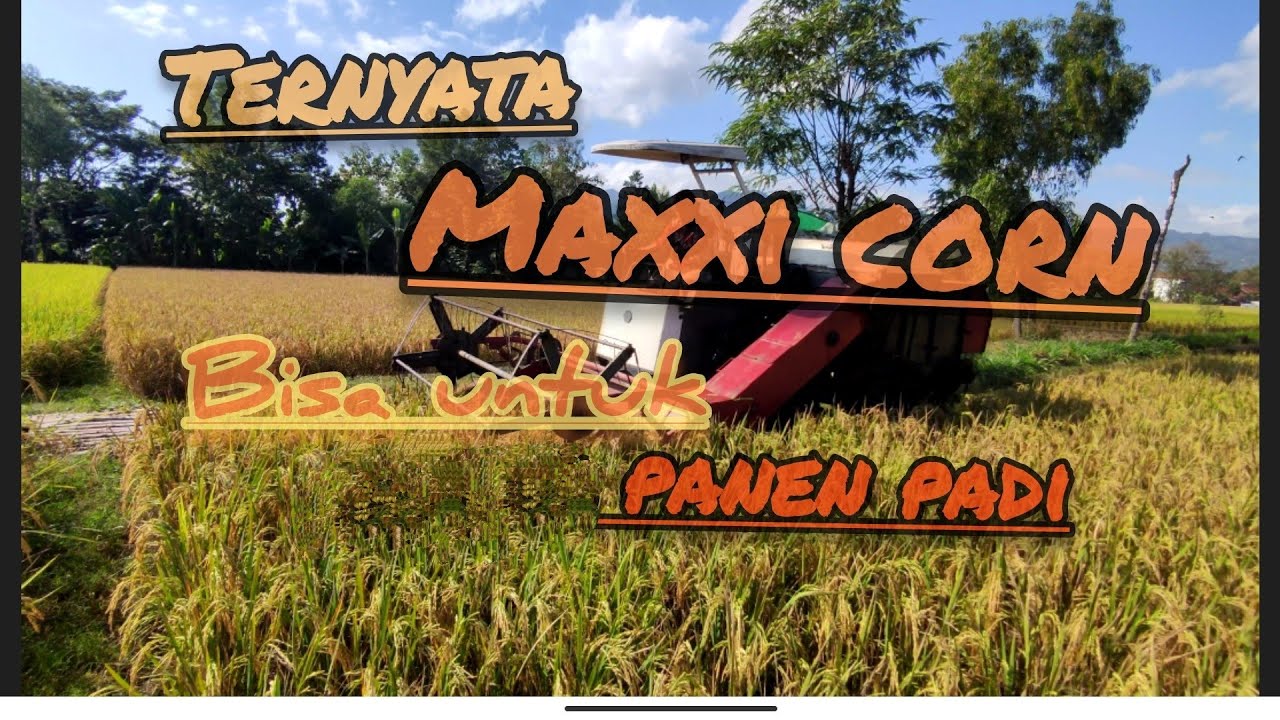 Mesin COMBI MAXXI CORN 85 - ternyata BISA untuk PANEN PADI - YouTube