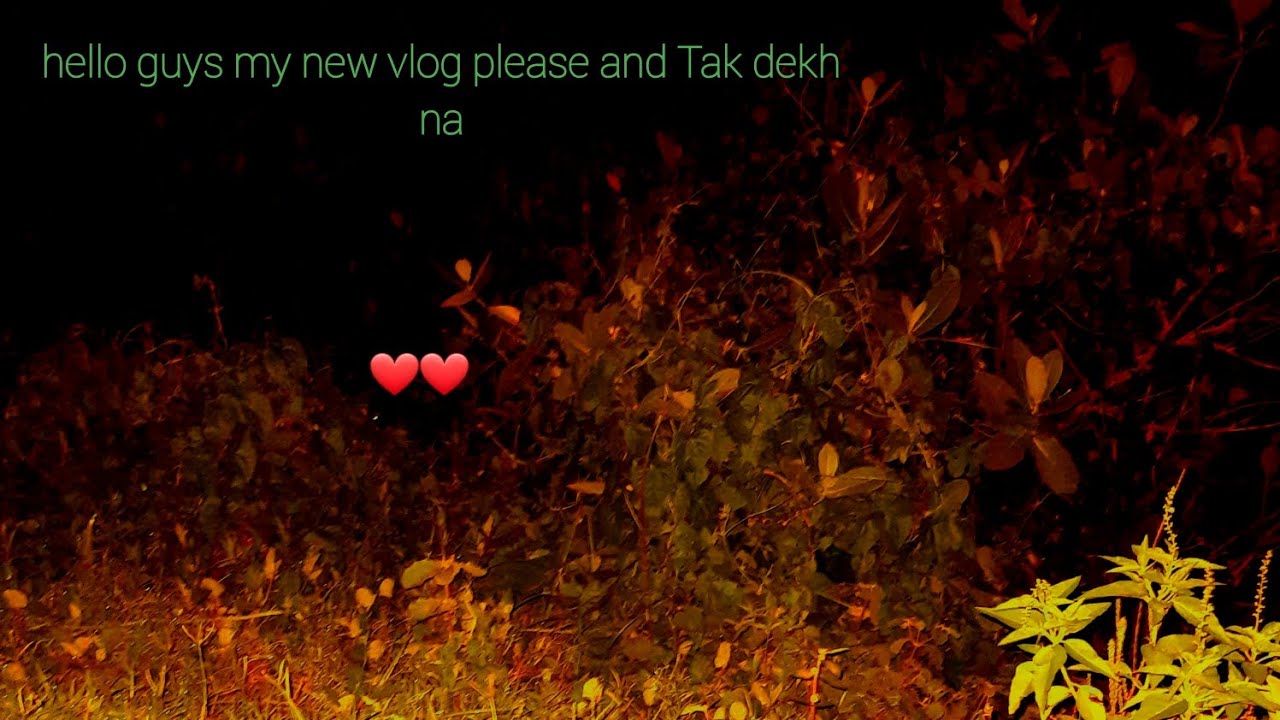 hello guys my new vlog Video - YouTube