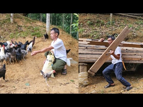 Mr. Dai is preparing to renovate his new house and raise livestock to ...
