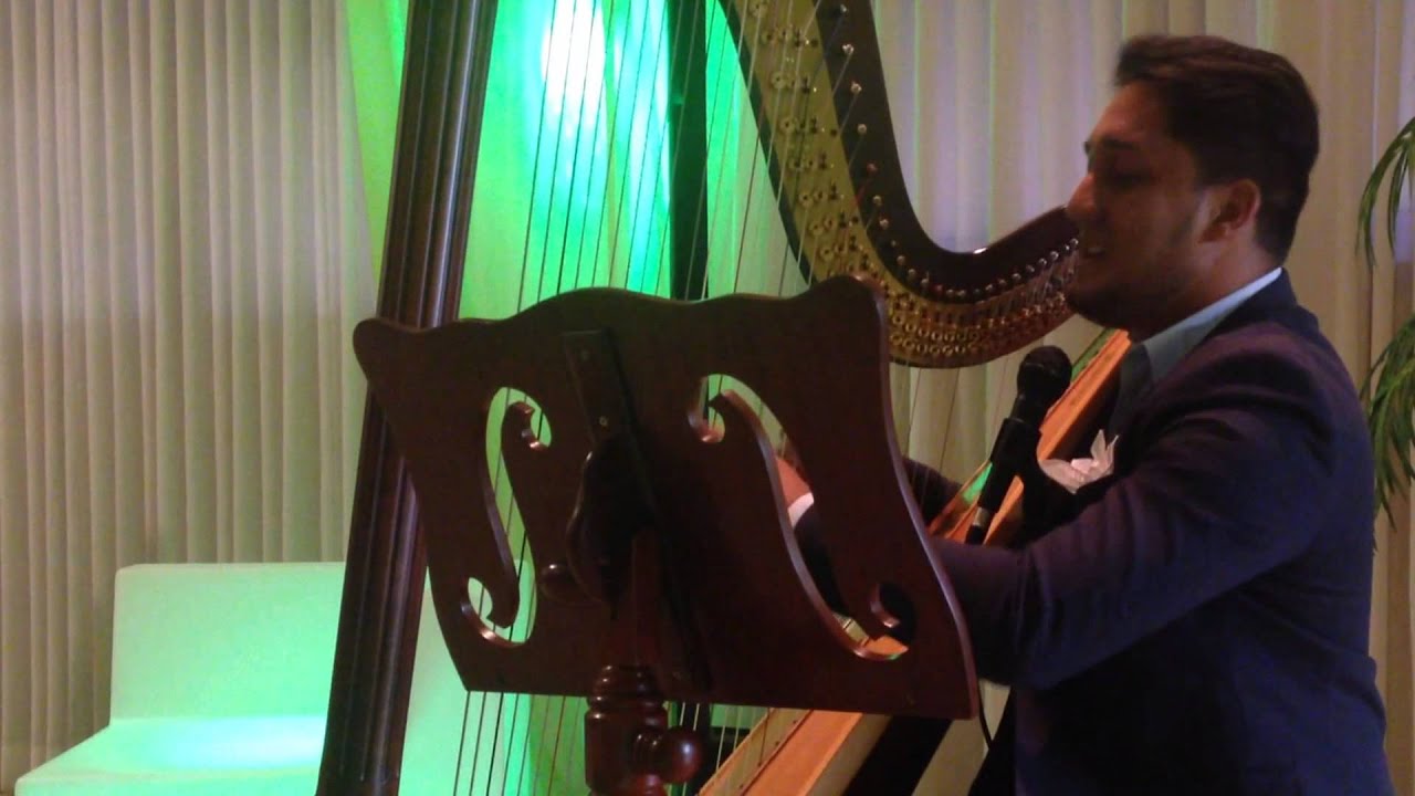 Voz y Arpa, Efrain Ramos coctel - YouTube