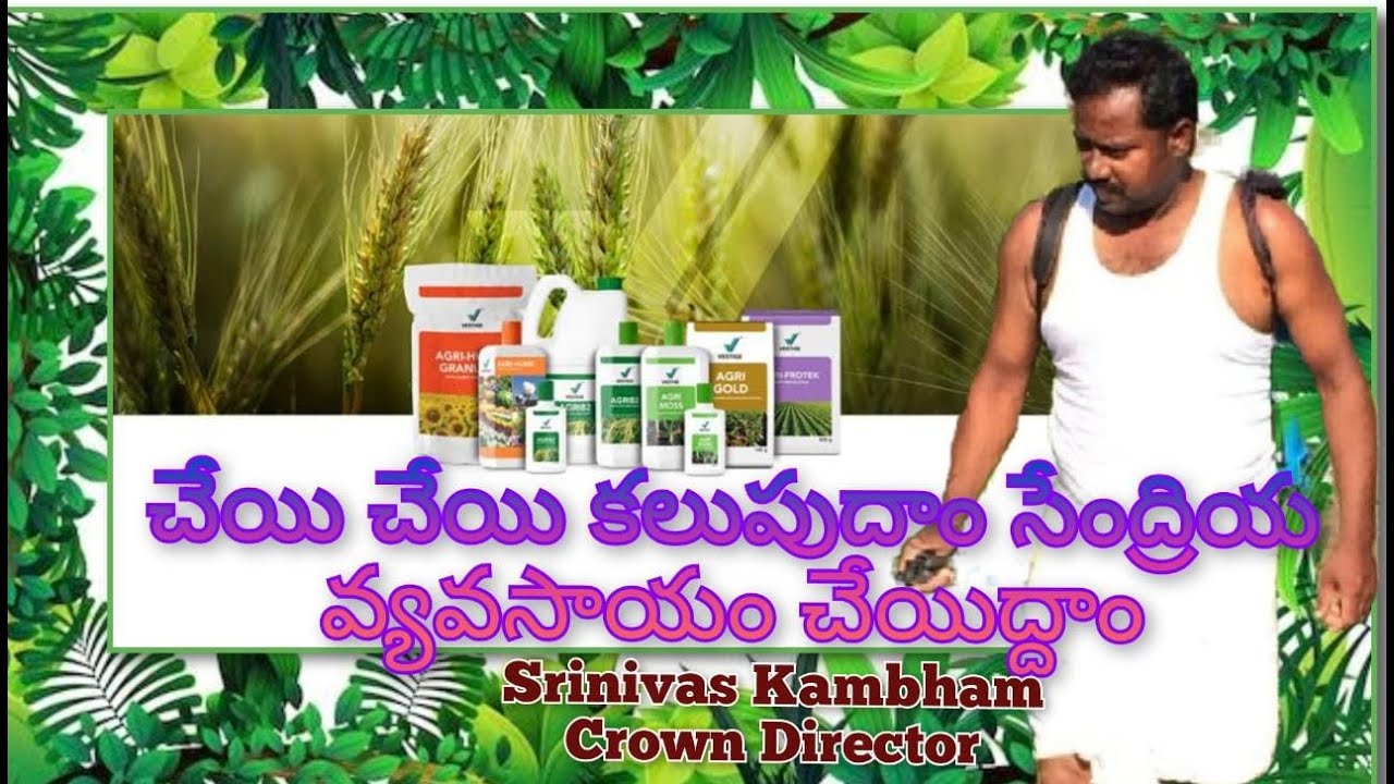 Agriculture session Part - 3 by Srinivas kambham Crown Director - YouTube