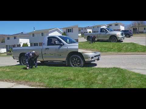 Dual view of both tuck jumps!😊 #Furry #Therian #Babyfur #DiaperFur #Otherkin #Wolfhearted