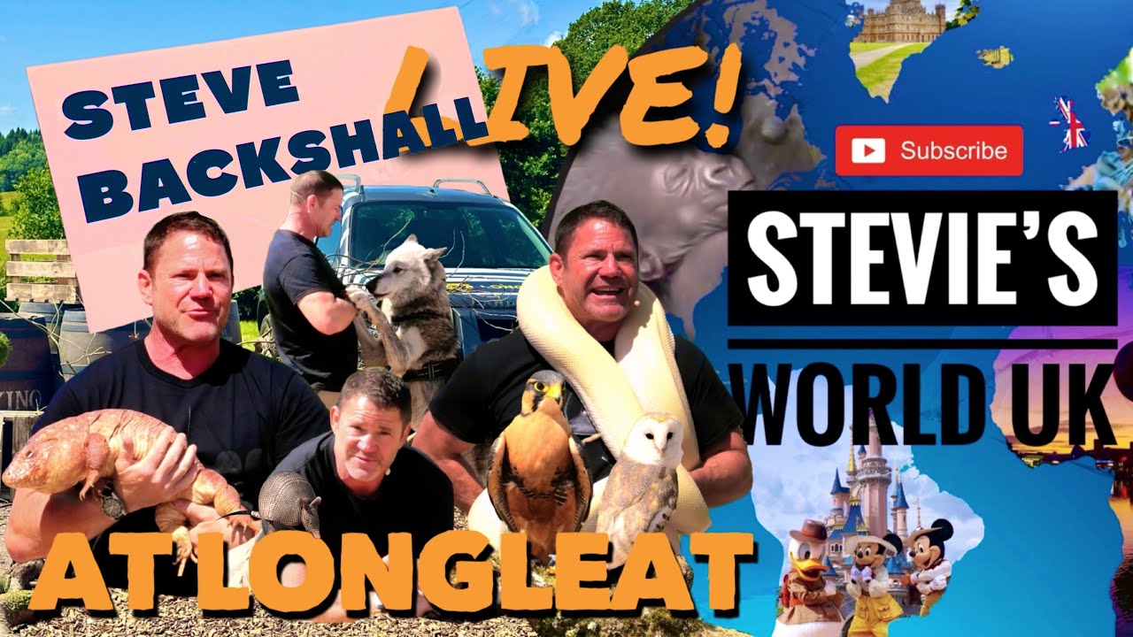 STEVE BACKSHALL LIVE AT LONGLEAT - FULL SHOW - YouTube