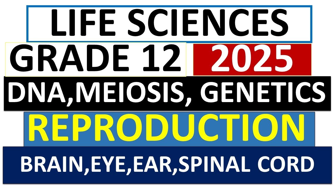 2025 LIFE SCIENCES JUNE EXAM GAUTENG 2025 GRADE 12 SCOPE THUNDEREDUC BY ...