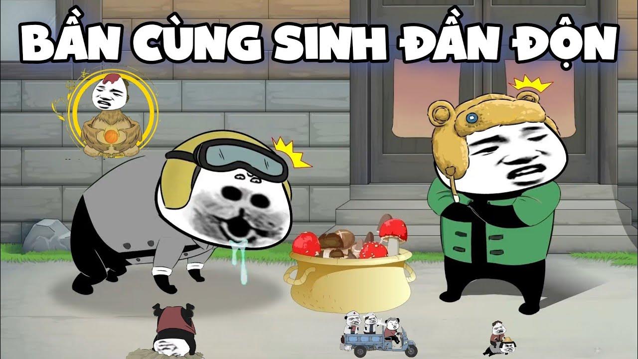 GẤu HÀi HƯỚc Phần 130 Bần Cùng Sinh Đần Độn Phim Hoạt Hình Gấu Trúc Meme Siêu Buồn Cười