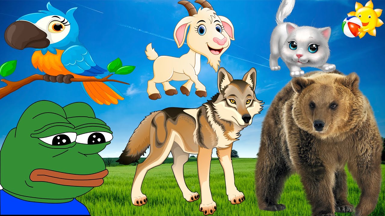 Animal Sounds Cow, Fox, Cat, Dog, Elephant, Pig and Cow - YouTube