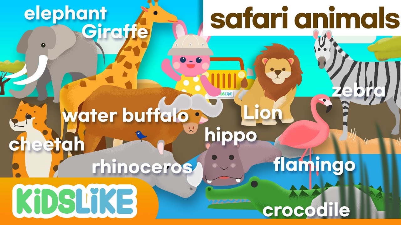 safari animals-English [Children's Animation]-kids - YouTube