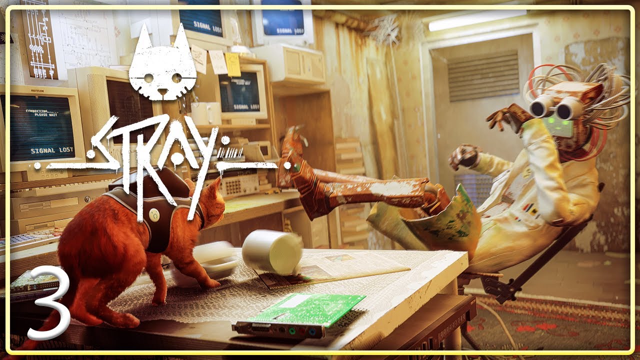 we found doc!!! // Stray #3 - YouTube