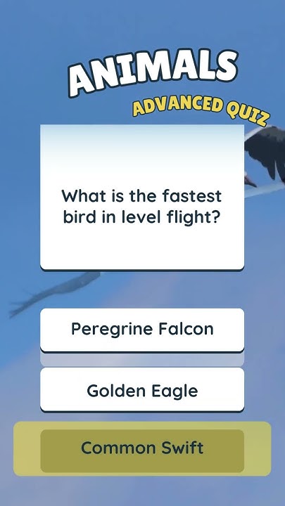 Animals Advanced Quiz | Test Your Advanced Animal Knowledge! - YouTube