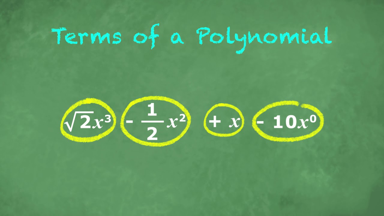 Polynomials 1 introduction to polynomials - YouTube