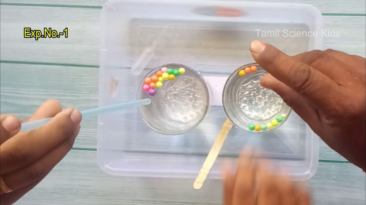 Three Simple Experiment For Kids With Water To Explain Surface Tension three-simple-experiment-for-kids-with-water-to-explain-surface-tension