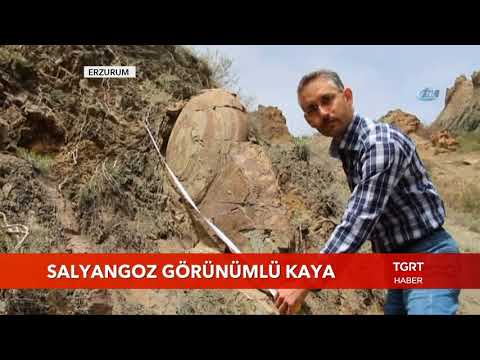 Salyongoz Görünümlü Kaya