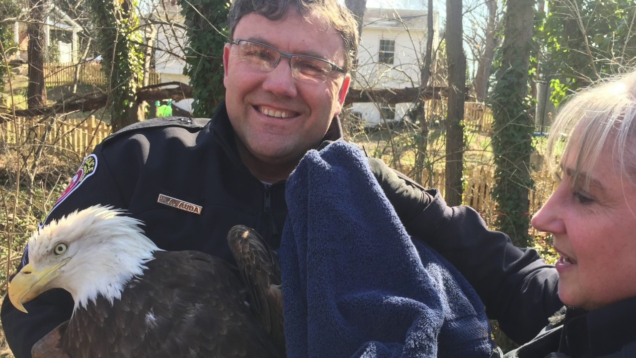 National Animal Care and Control Appreciation Week 2017 - YouTube