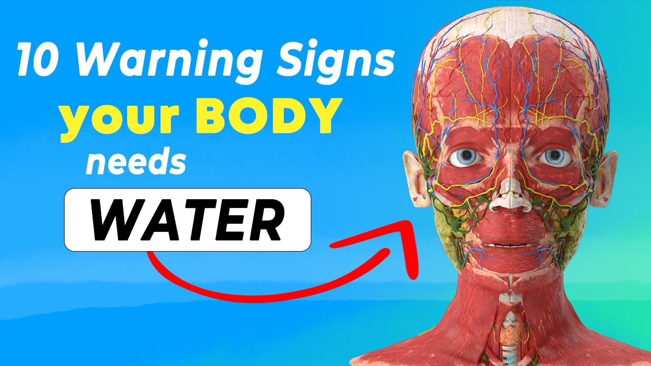 Stay Hydrated: 10 Signs You're Not Drinking Enough Water | 1Stop Health ...