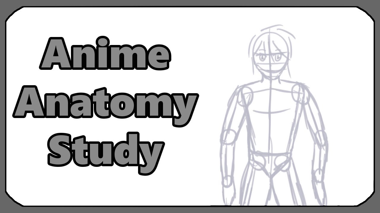 Anime anatomy study, give me some poses | Artist Vtuber - YouTube