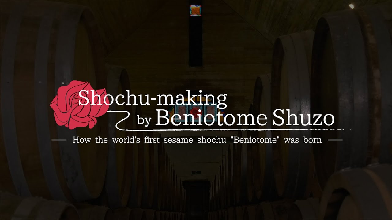 Shochu-making by Beniotome Shuzo 【紅乙女酒造】 - YouTube