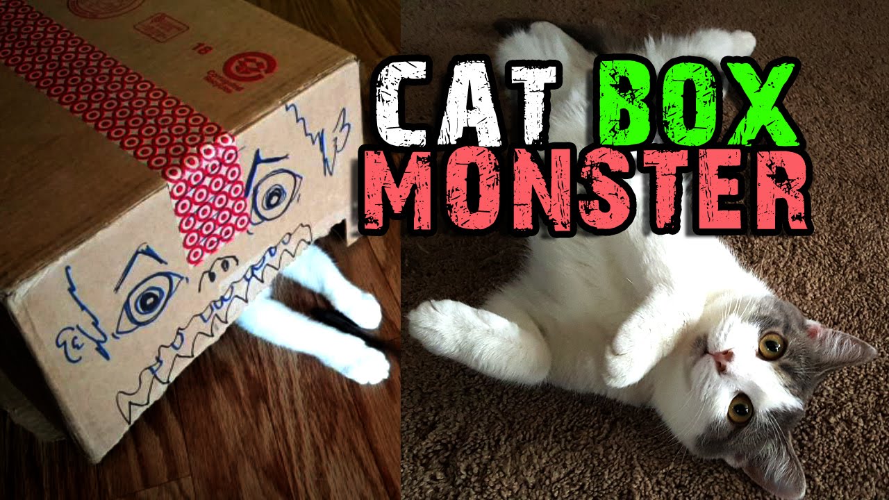 CAT BOX MONSTER ! Funny Cat Plays in Cardboard Box - YouTube