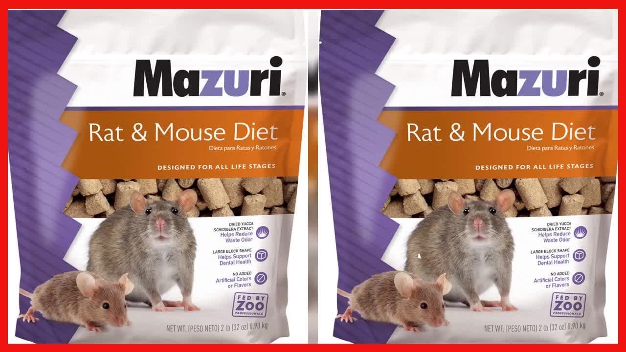 Mazuri Vegetarian Rat & Mouse Diet Rodent Food 2 Pound 2 Lb Bag - YouTube