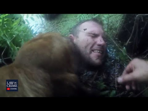 Police K-9 Dog Licks Suspect's Face After Locating Him in Florida Swamp