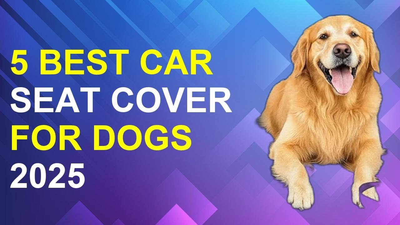 5 Best Car Seat Cover For Dogs 2025 | Top-Rated Dog Car Seat Covers ...