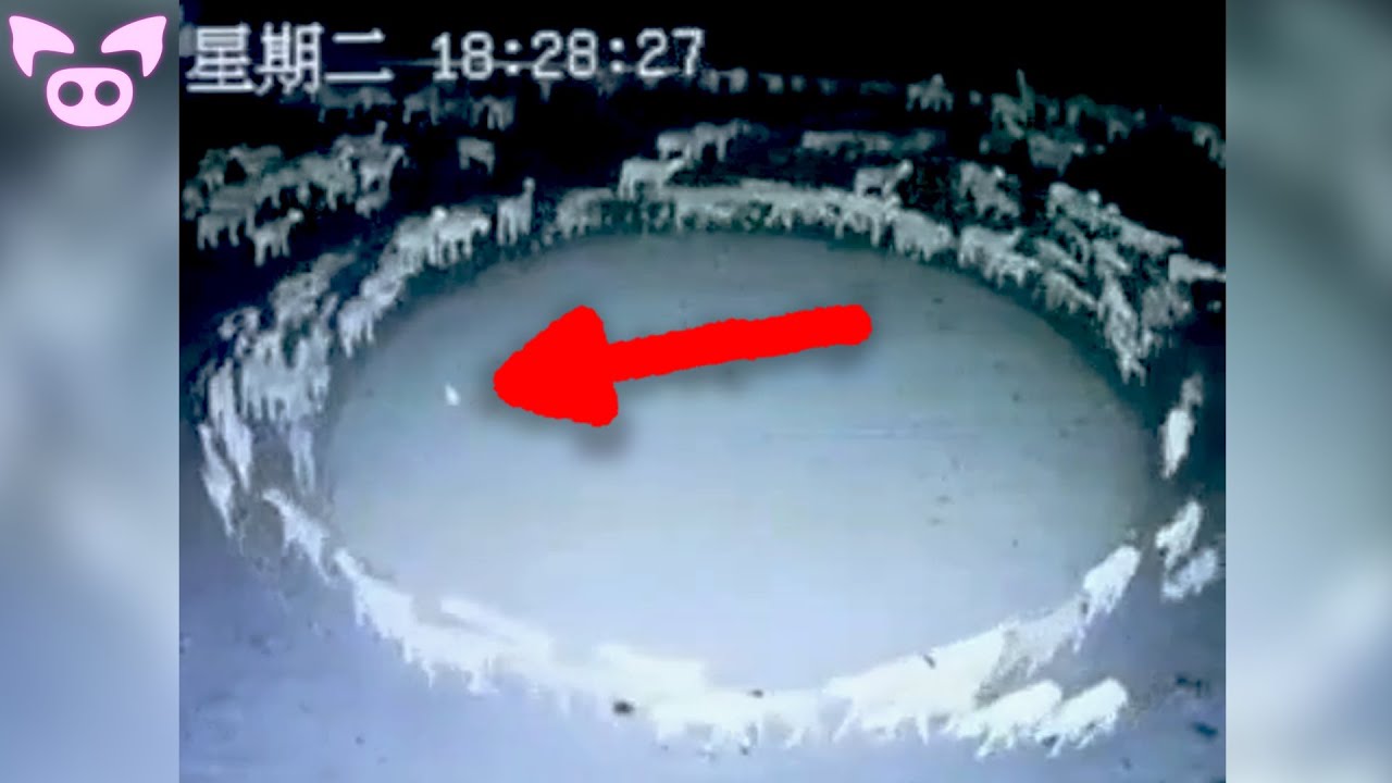 This Freaky Footage Needs Your Explanation - YouTube