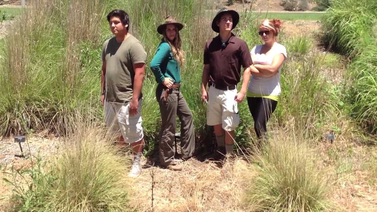 The Weed Hunter HD - YouTube