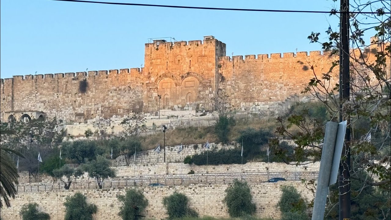 Red Cows / Byron Stinson Interview - YouTube