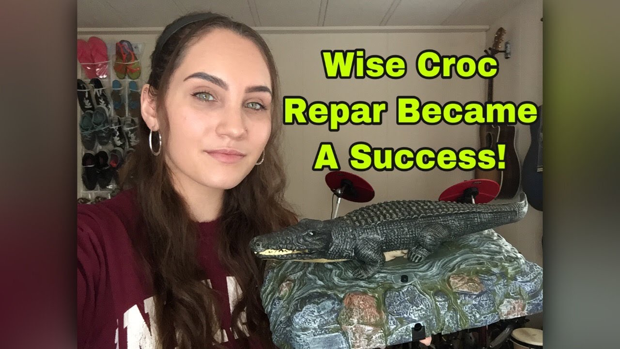 Wise Croc Repair Became A Success! - YouTube