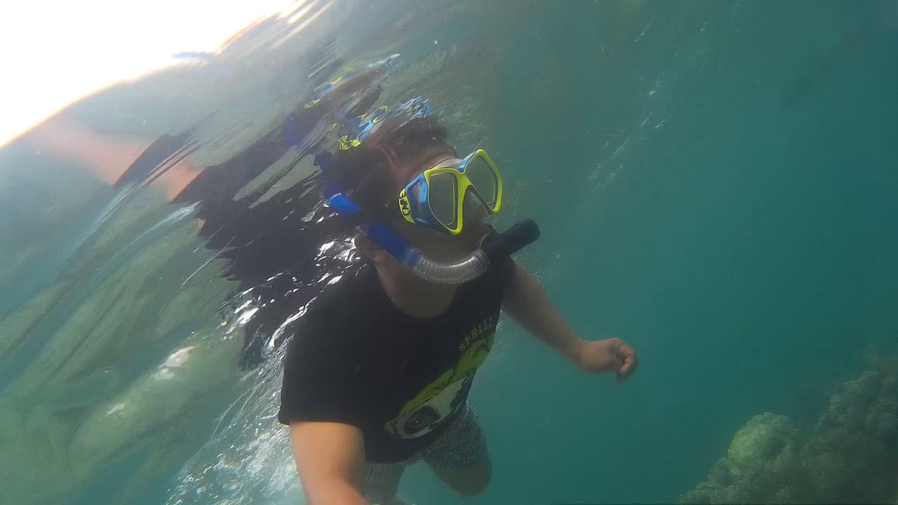 Snorkling, Derawan Island, Berau, Kalimantan Timur - YouTube