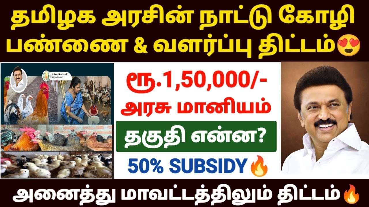 நாட்டு கோழி வளர்ப்பு திட்டம் | nattu kozhi valarpu thittam | nattu koli ...