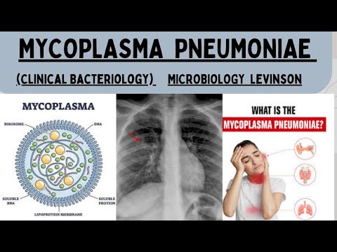 Mycoplasma Pneumoniae | Microbiology| [Complete Lecture ] Pathology ...