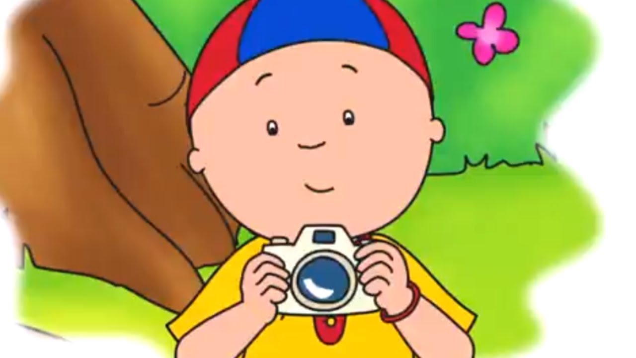 Ruca em português ★ Ruca o fotógrafo ★ Caillou Episódio Completo ...