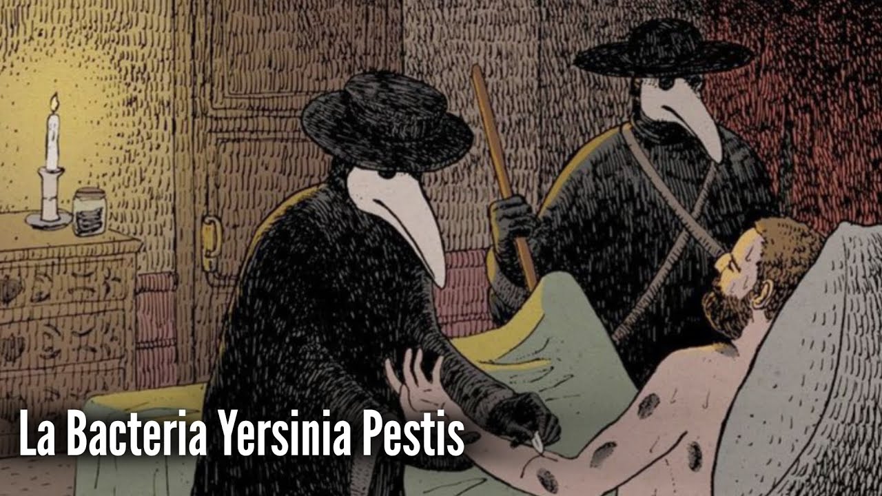Yersinia Pestis Treatment