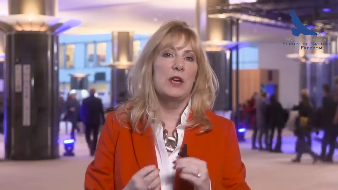 MARAKEŠ UN POGODBA JANICE ATKINSON UKIP-slovenske podnapise vklopite ...