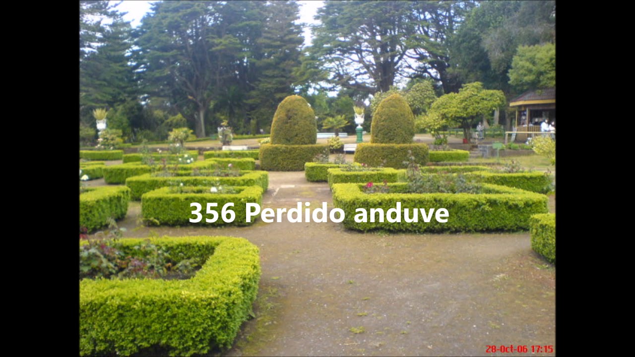 356 Perdido anduve - YouTube